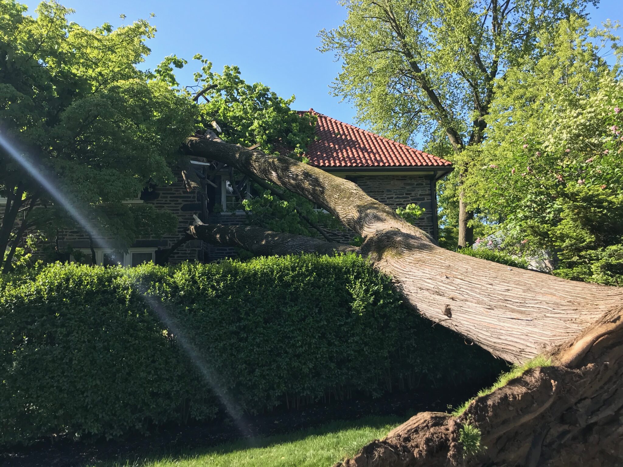 Engineering Case Study - Haag